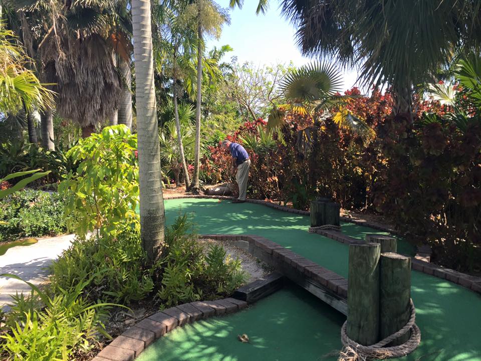 Gallery - Palmetto Mini Golf